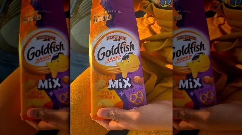 Goldfish Mix Xtra Cheddar + Pretzel