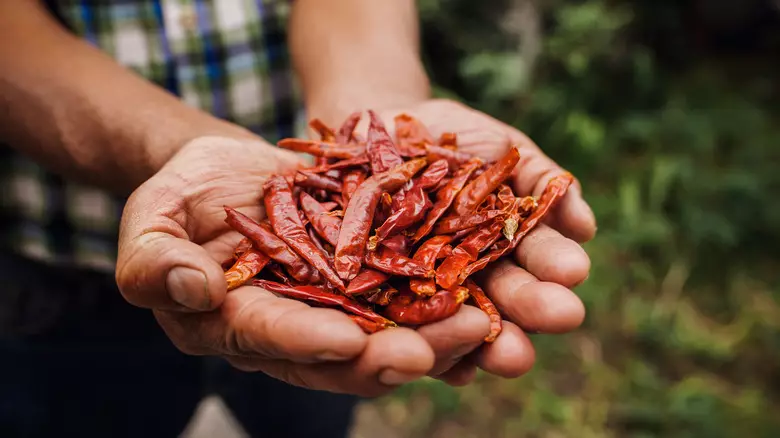 Monna ea tšoereng pepere e khubelu ea chipotle e omisitsoeng