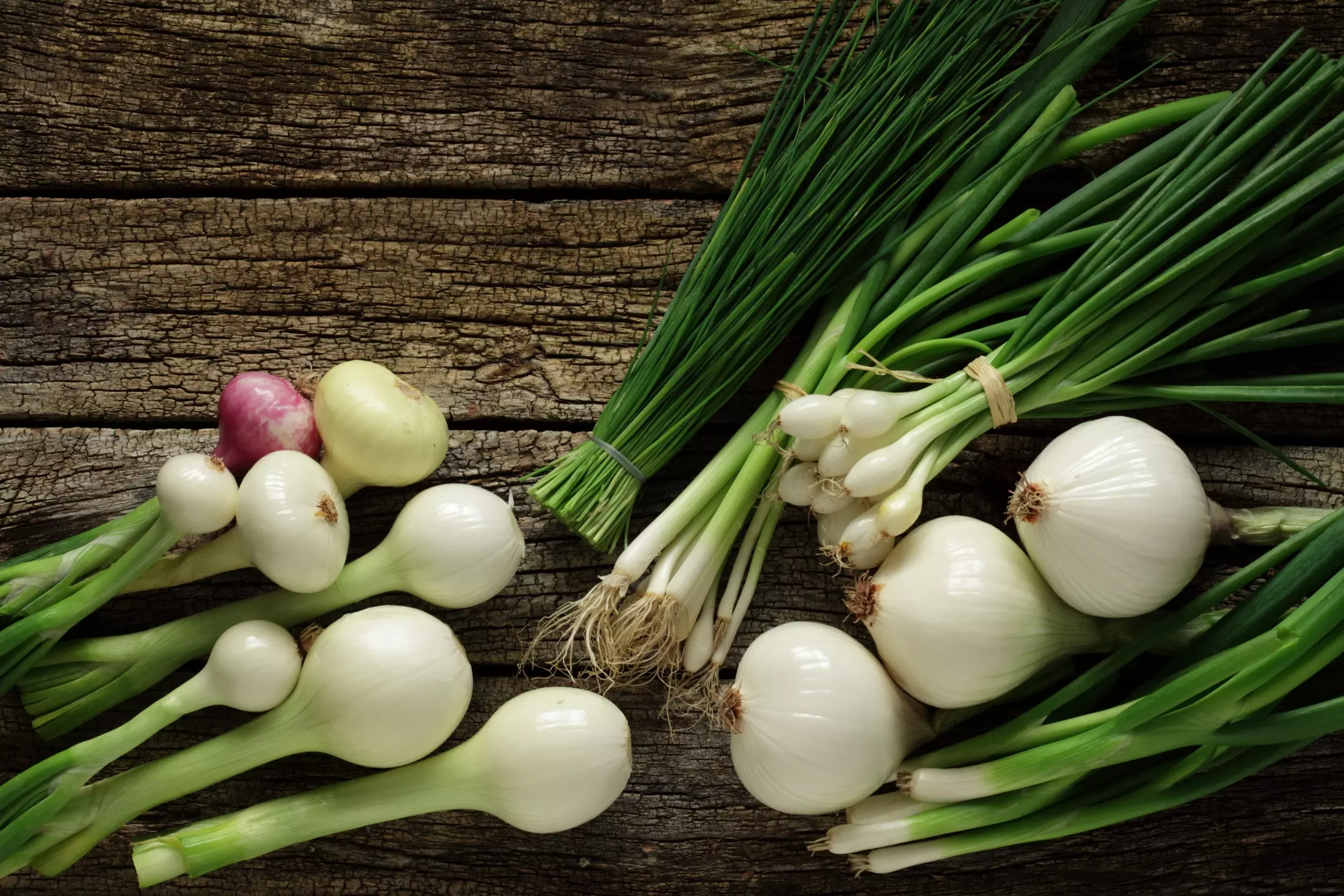 Gerçekten Hangi Soğanlarla Yemek Yapmalısınız?