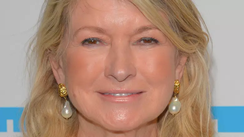 Martha Stewart close-up