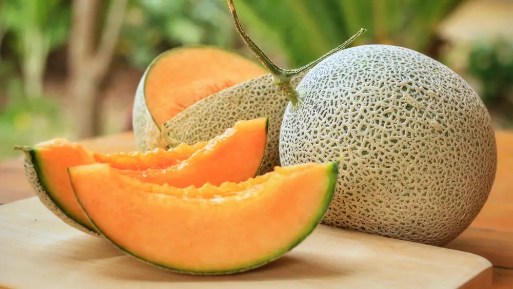 Cantalupo