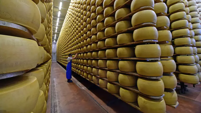 aging grana padano cheese shelves