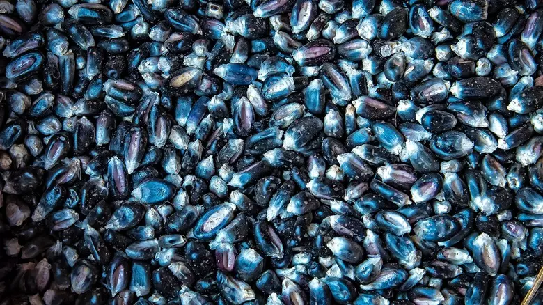 La verdadera razón por la que deberías comer maíz azul