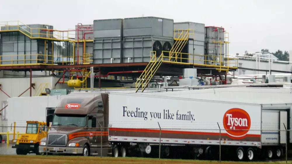 semi treuk di loading dock pabrik processing ternak