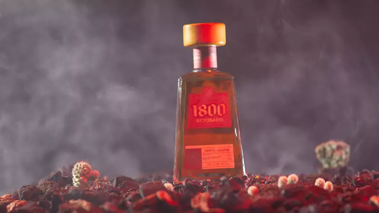 Bouteille de tequila 1800 au sol