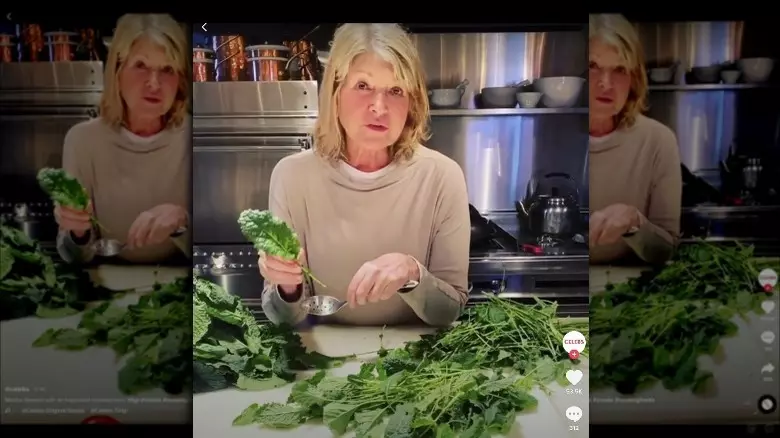 Martha Stewart TikTok video kuchynský hack