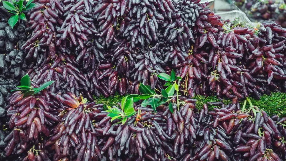 witch finger vine i faaputuga