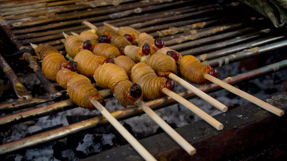 izibungu ze-coconut grub