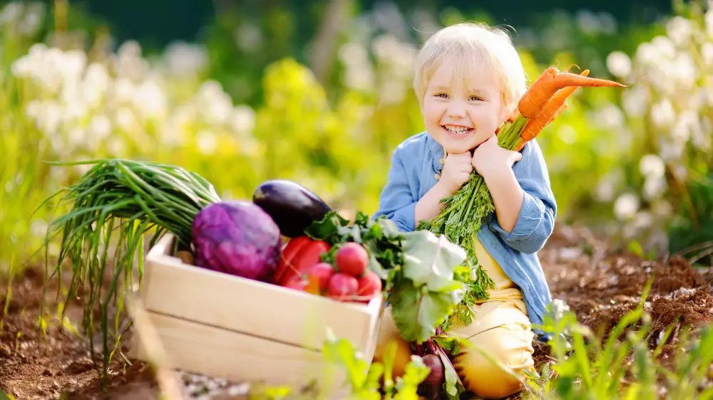 Jeune garçon souriant, tenant des carottes à côté d'une boîte de légumes