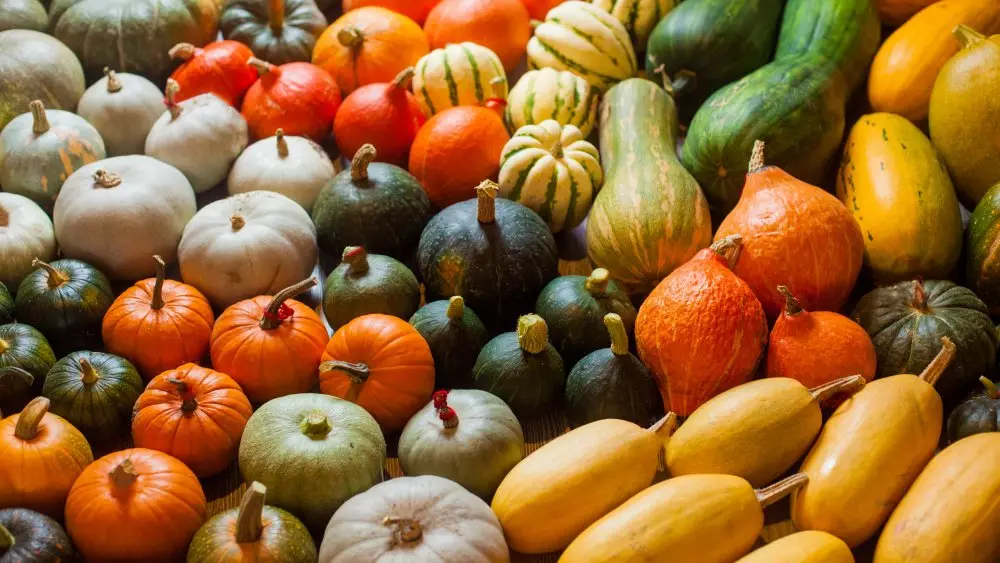 variétés de courges