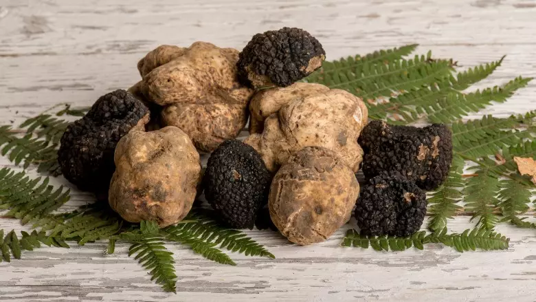 Eziokwu A Na-ekwughị Banyere Truffles 1223_1