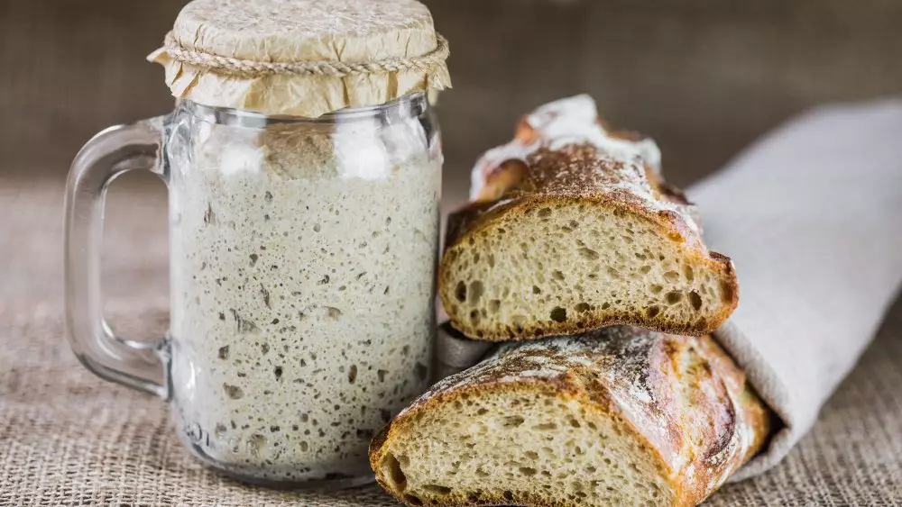 starter sourdough