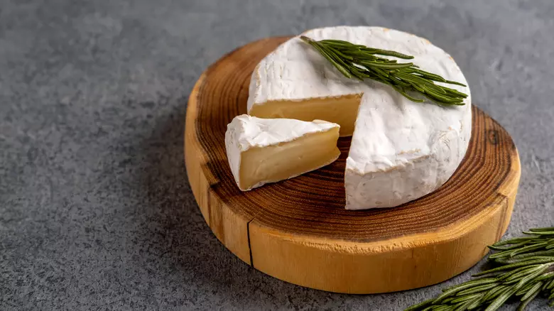 Camembert sūrio ratas su lapų šakele