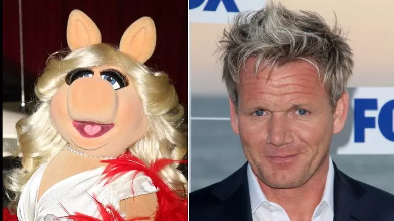 Miss Piggy đang nói và Gordon Ramsay trông thích thú