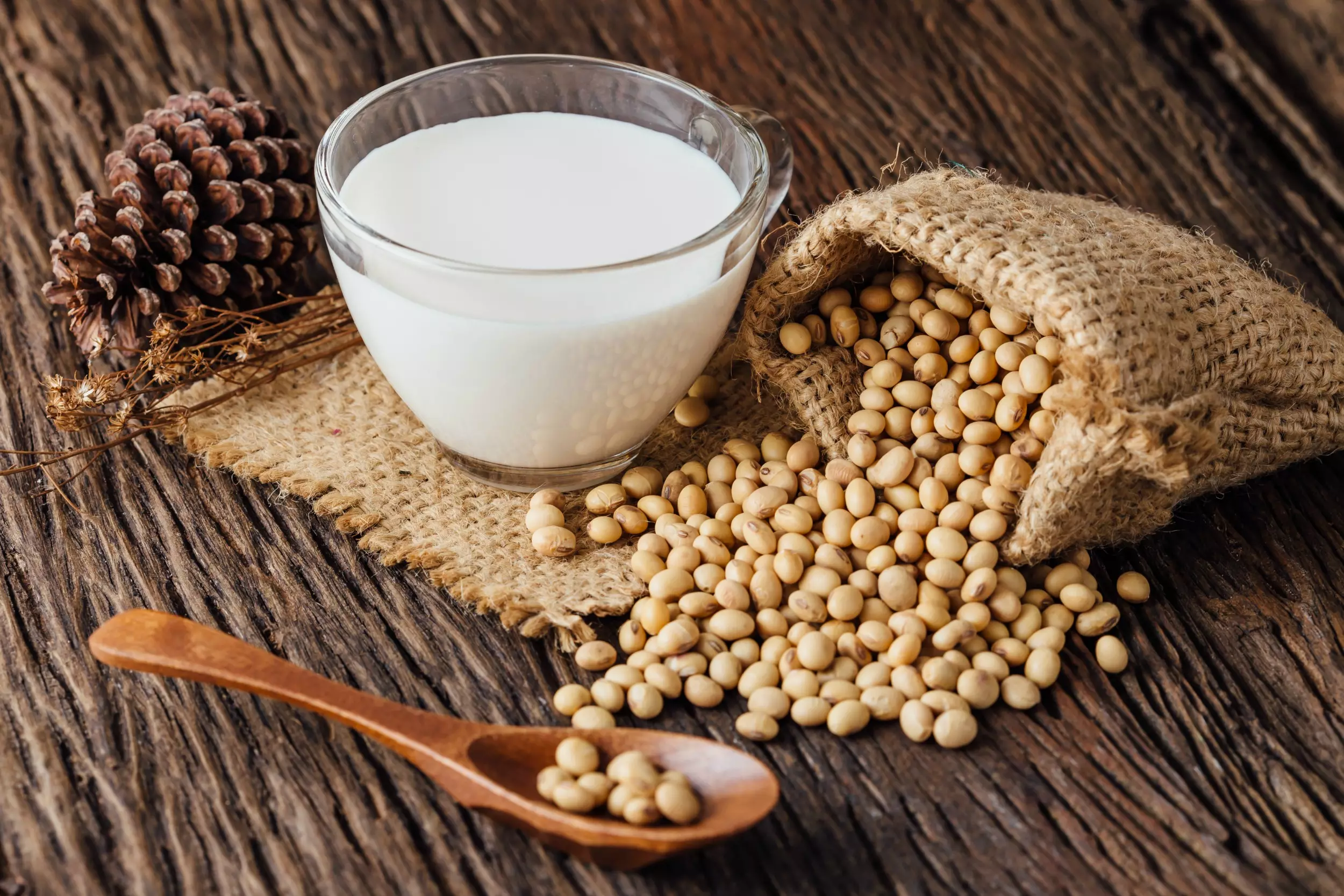 Ihe niile I Kwesịrị Ịma Banyere Soy Milk