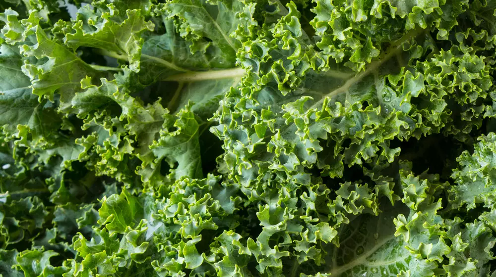 Kale, nærmynd