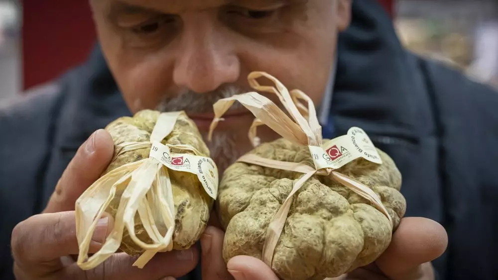 Witte Truffels bij een Italiaans restaurant