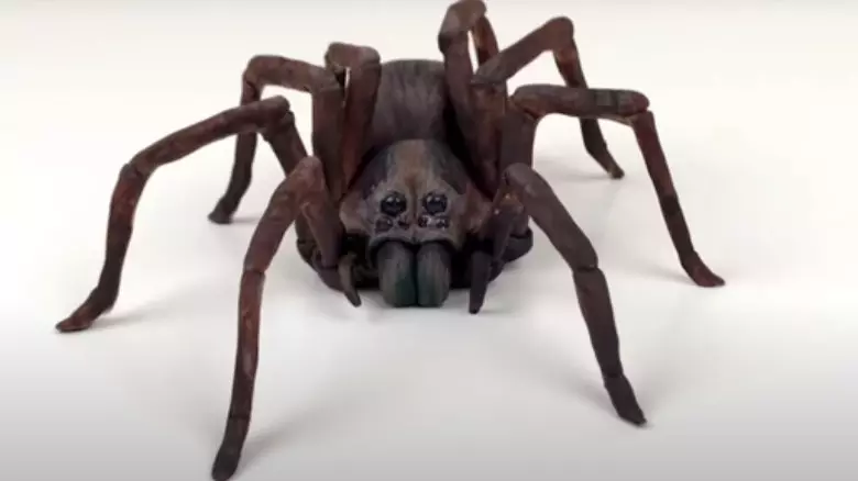 Ikooko Spider akara oyinbo