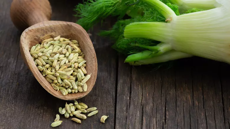 Mkpụrụ fennel na otu bọlbụ nke fennel