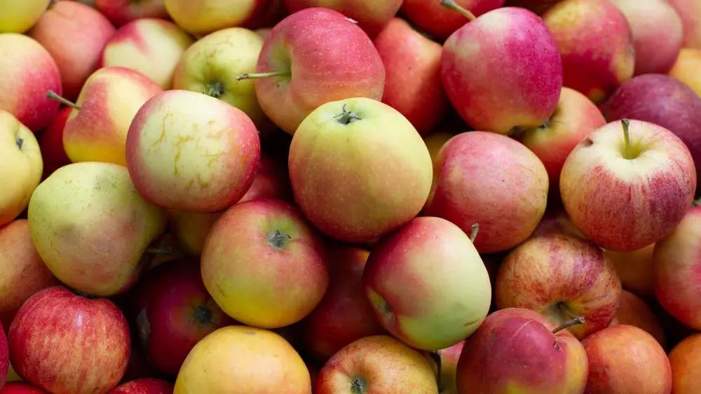 די פאַקטיש סיבה Apples טאָן ניט געשמאַק ענימאָר