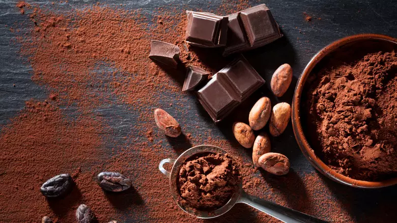 Boabele de cacao și bucăți de baton de ciocolată
