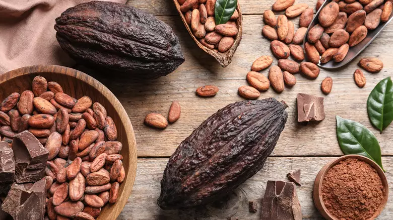 Какао-стручки, боби та шоколад на дерев'яній поверхні