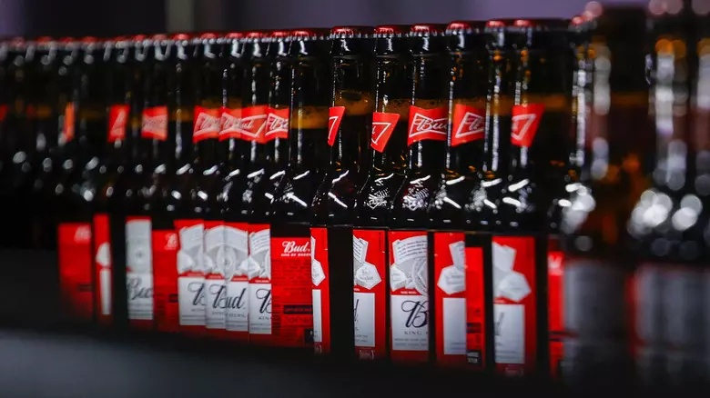 Bottiglie di birra Budweiser in fila