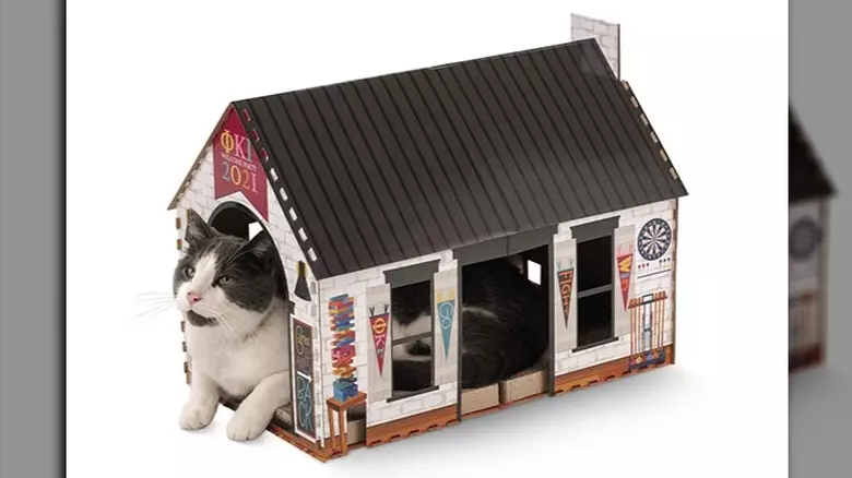 Hjerte til hale Cat Scratching Playhouse