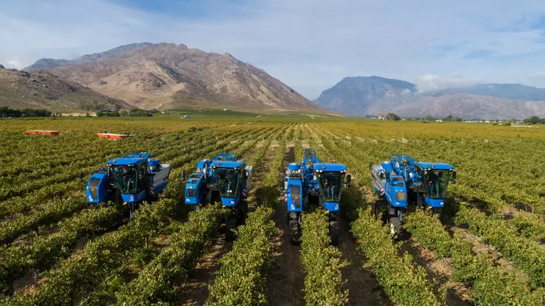 pelbagai traktor menuai ladang anggur