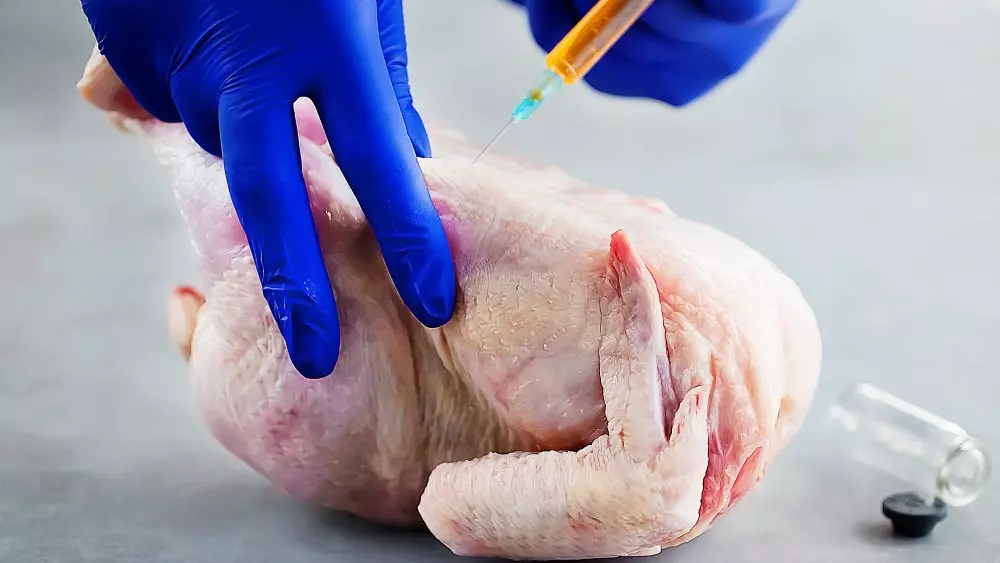塔可钟的鸡肉不含抗生素