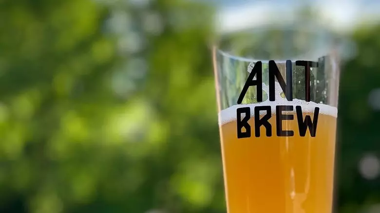 Glas af Ant Brew bjór