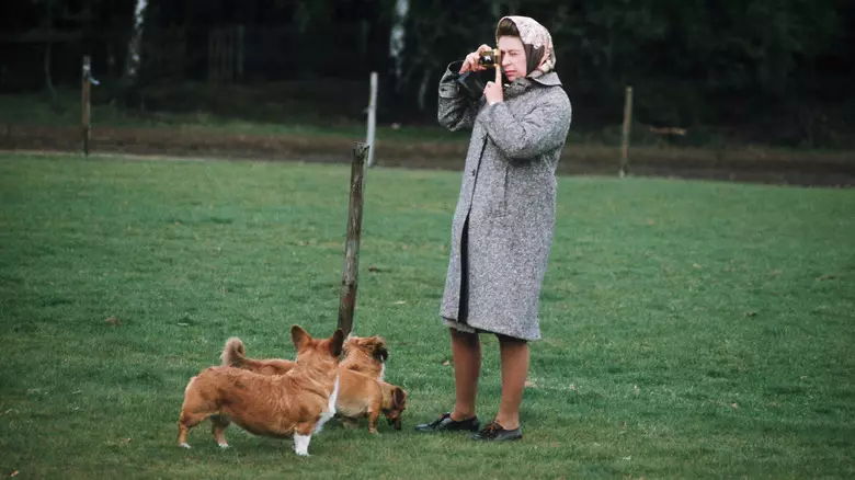 Ratu Elizabeth dan corgisnya