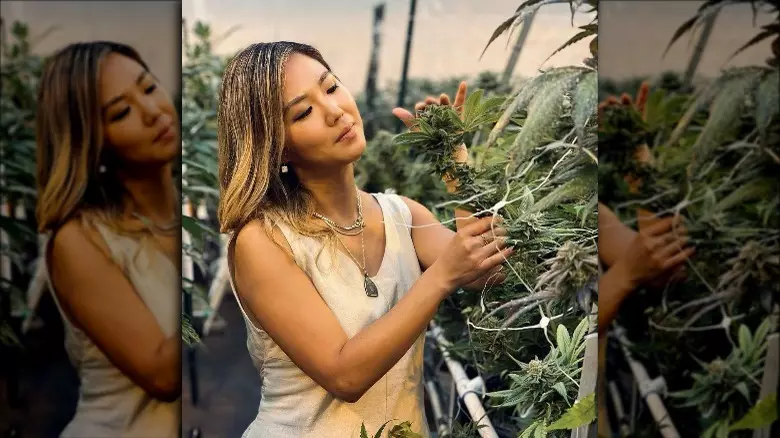 Esther Choi med cannabisplante