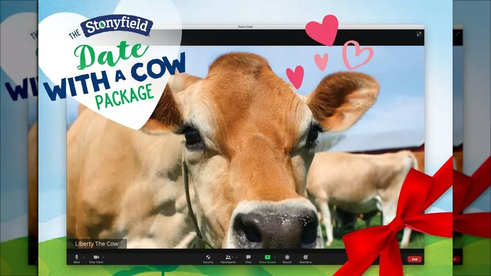 Dejta med ett foto från Cow Stonyfield