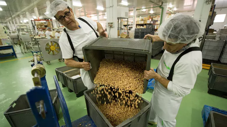 Pekerja membuang kacang almond panggang