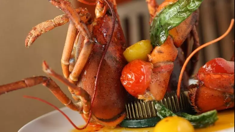 David Burke's hasha lobster