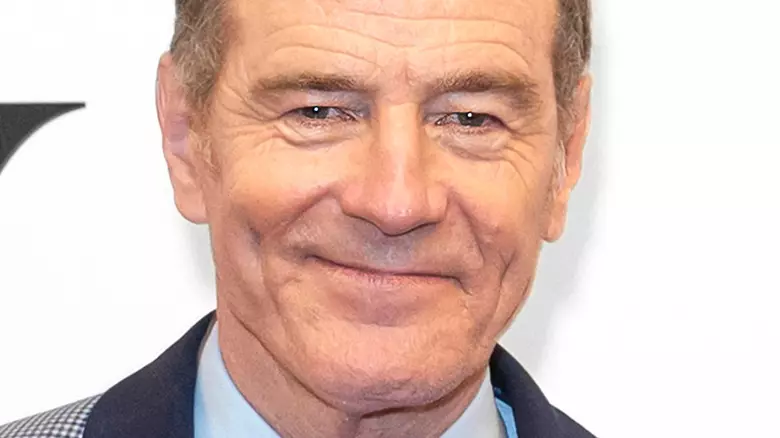 Prim-plan al lui Bryan Cranston