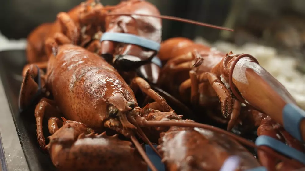 Udang galah beku dipamerkan