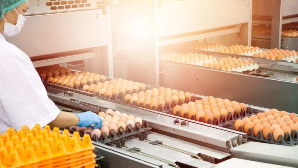 Linija za proizvodnjo jajc