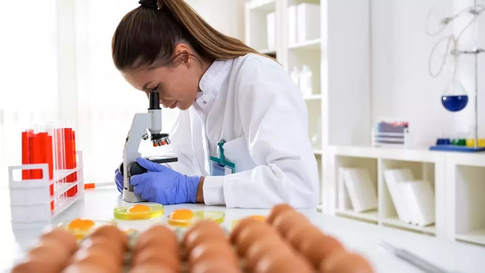 Shkencëtar laboratori që inspekton vezët