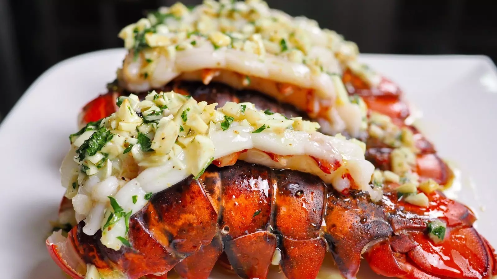 Quiznos Memiliki Sesuatu Untuk Pecinta Lobster