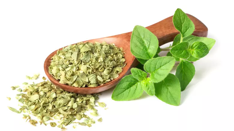 Oregano kavu na safi