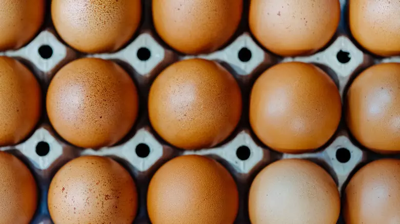 Oeufs dans un carton