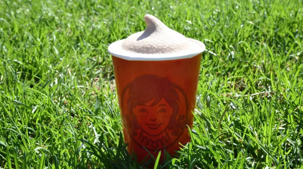 Wendy's Classic Shocolate Frosty