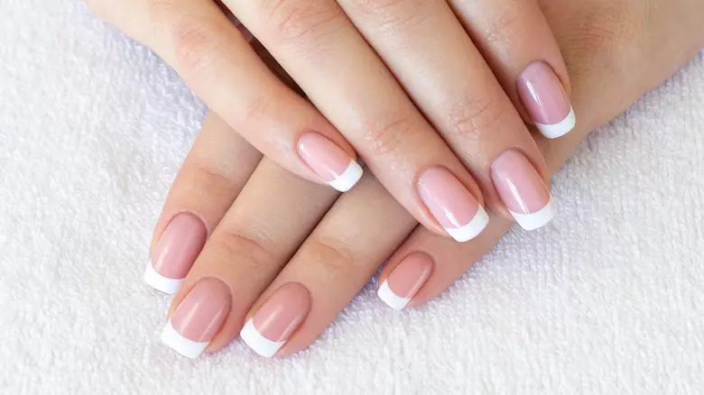 French manicure op de handen van de vrouw