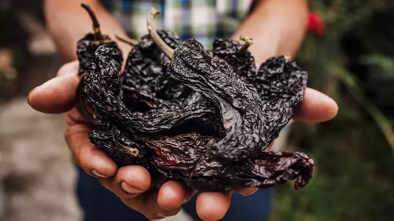 Piobair chile ancho i lámha feirmeoirí