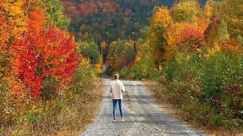 Lidey Heuck се разхожда по пътека в гора с есенни цветове