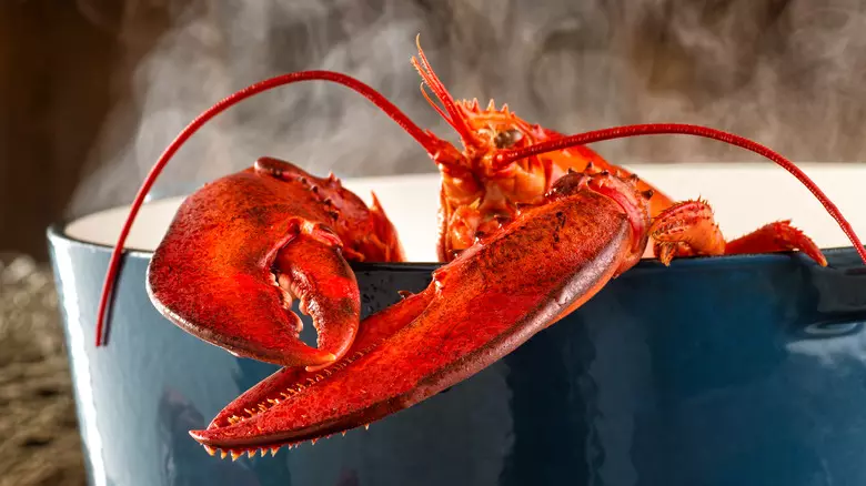lobster embizeni