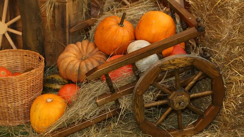 Pumpkins sa hay cart