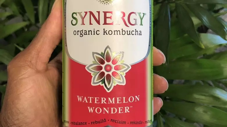 GT Synergy Watermelon Wonder Kambucha ची बाटली